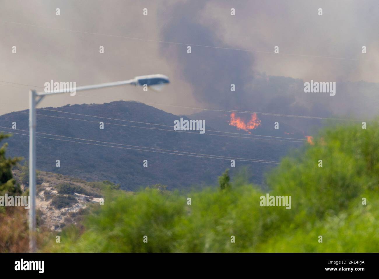 Densely forested regions hi-res stock photography and images - Alamy