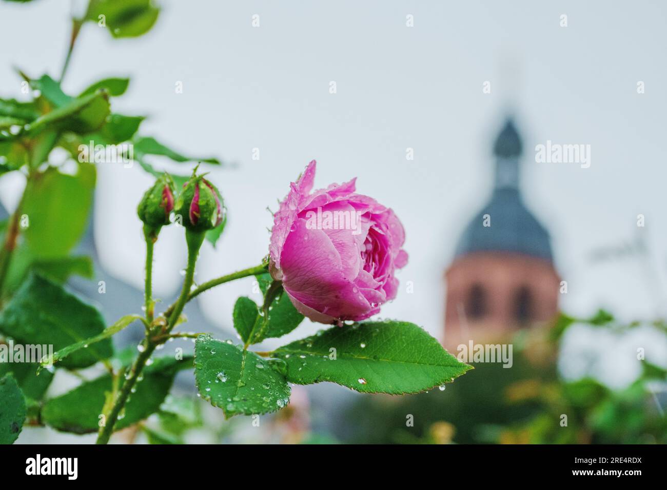25 July 2023, Hesse, Seligenstadt: A rain shower falls in the monastery ...