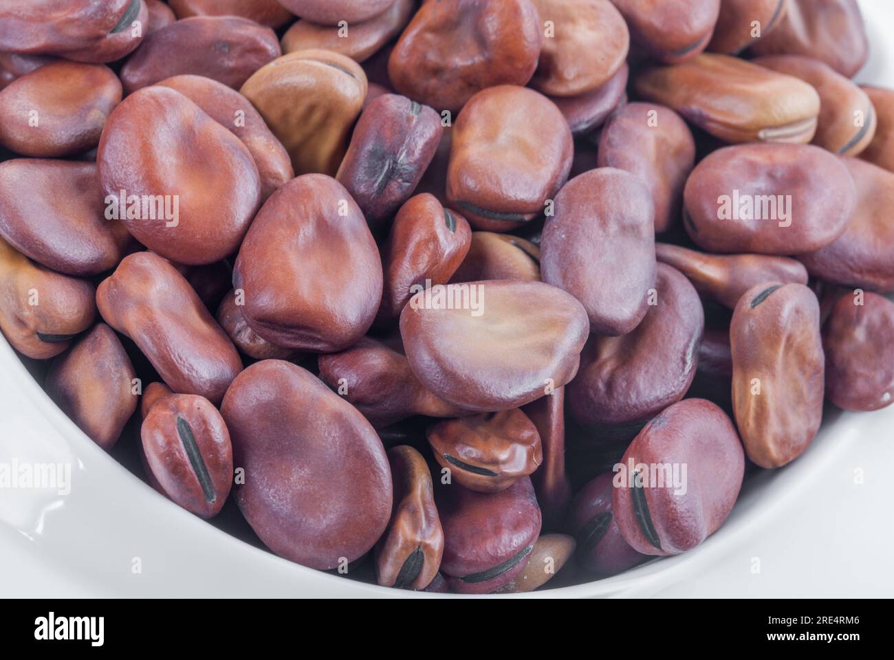 Egyptian raw Fava Beans Stock Photo - Alamy