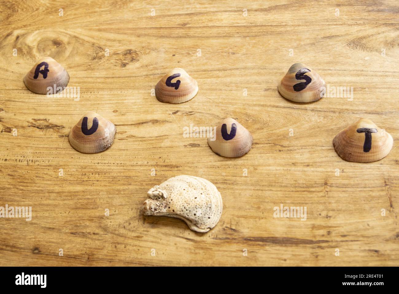 concept of august and holidays with the inscription on seashells Stock ...