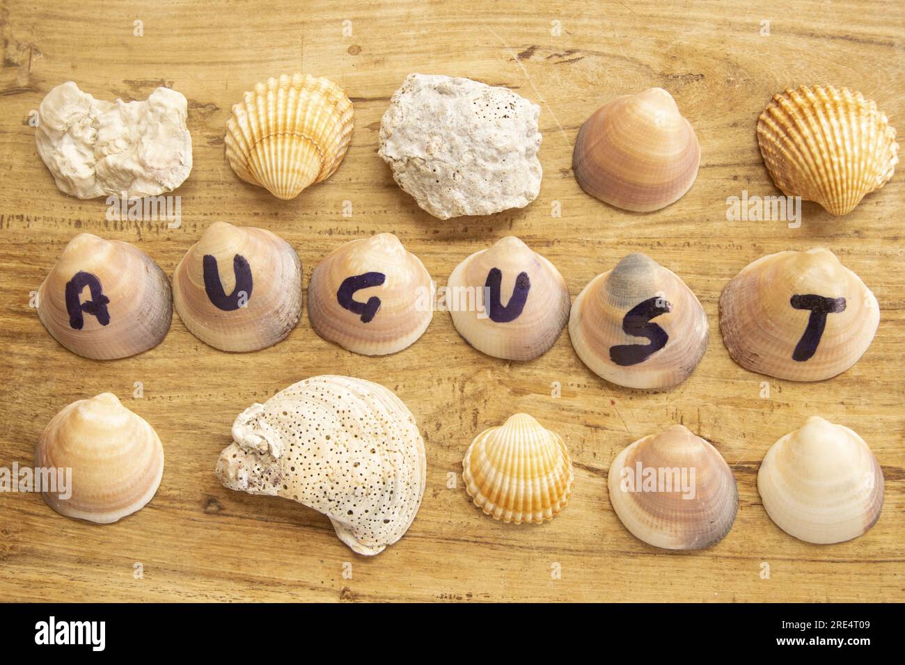 concept of august and holidays with the inscription on seashells Stock ...