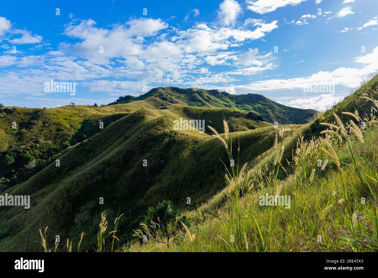 The top of Nacula island vegetation, Yasawa Islands, Fiji, South ...