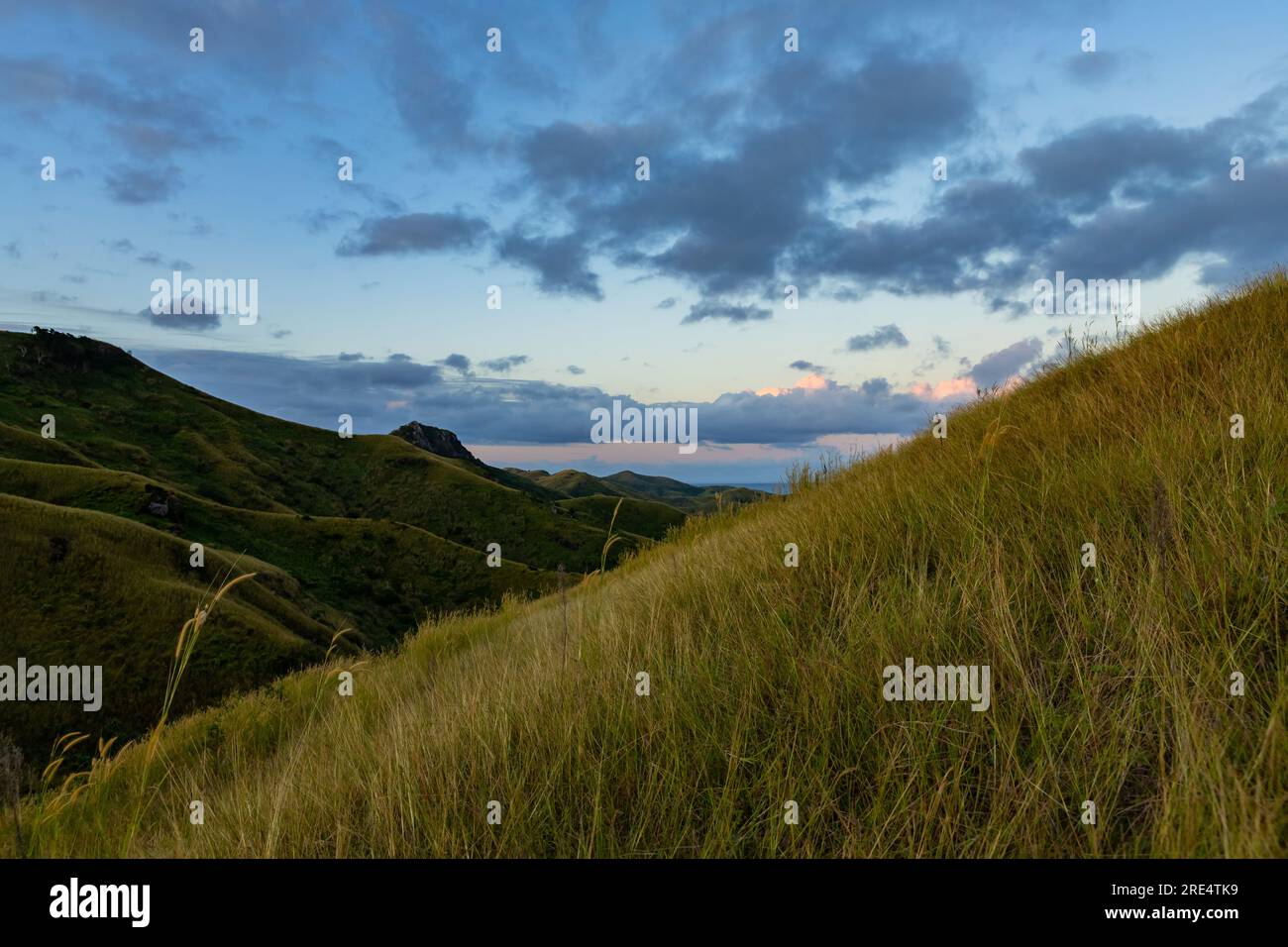 The top of Nacula island vegetation, Yasawa Islands, Fiji, South ...