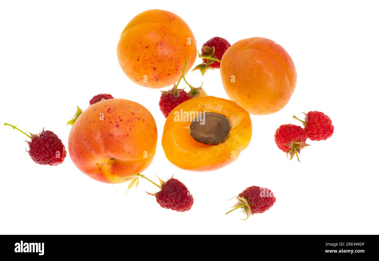 apricot isolated on white background Stock Photo - Alamy