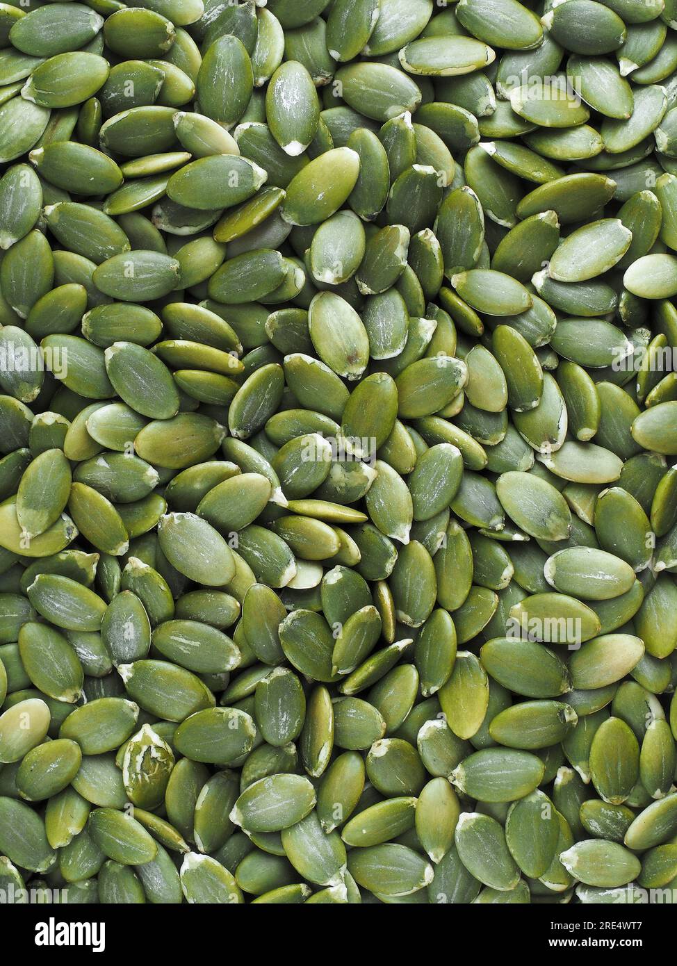 Pumpkin seeds close-up in full screen. Peeled pumpkin seeds without ...