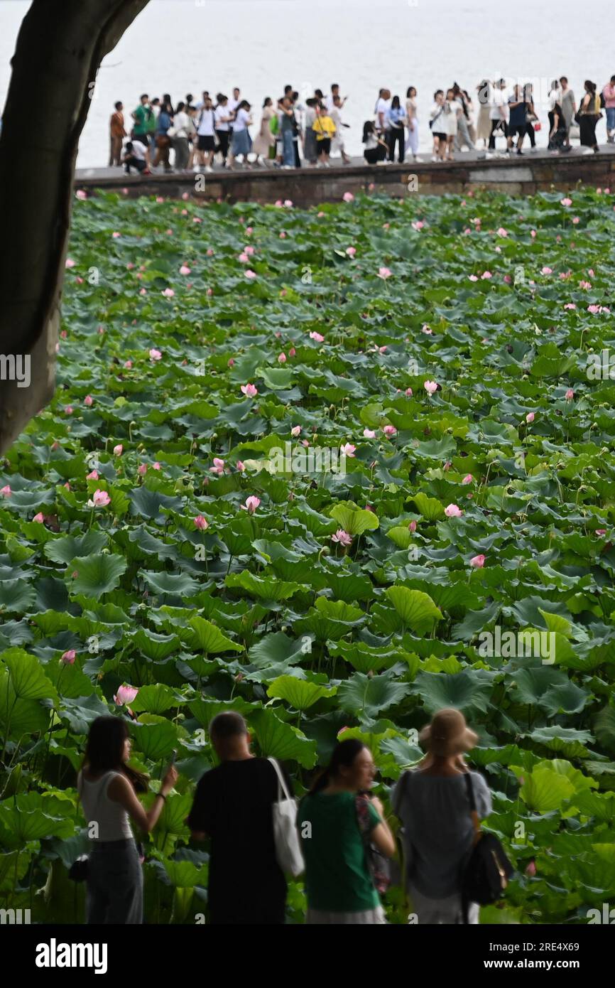 Hangzhou, China's Zhejiang Province. 25th July, 2023. Tourists enjoy ...
