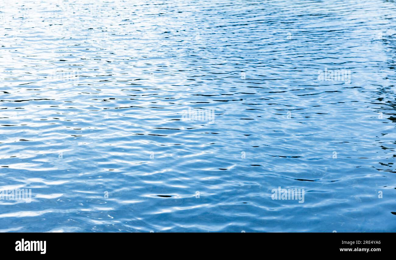 Blue Star Water Reflection Texture
