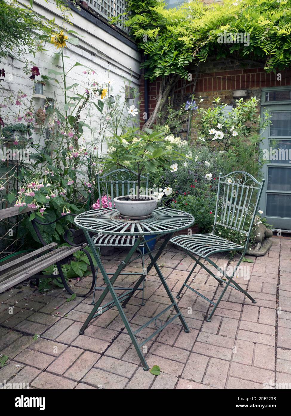 Courtyard garden hi-res stock photography and images - Alamy