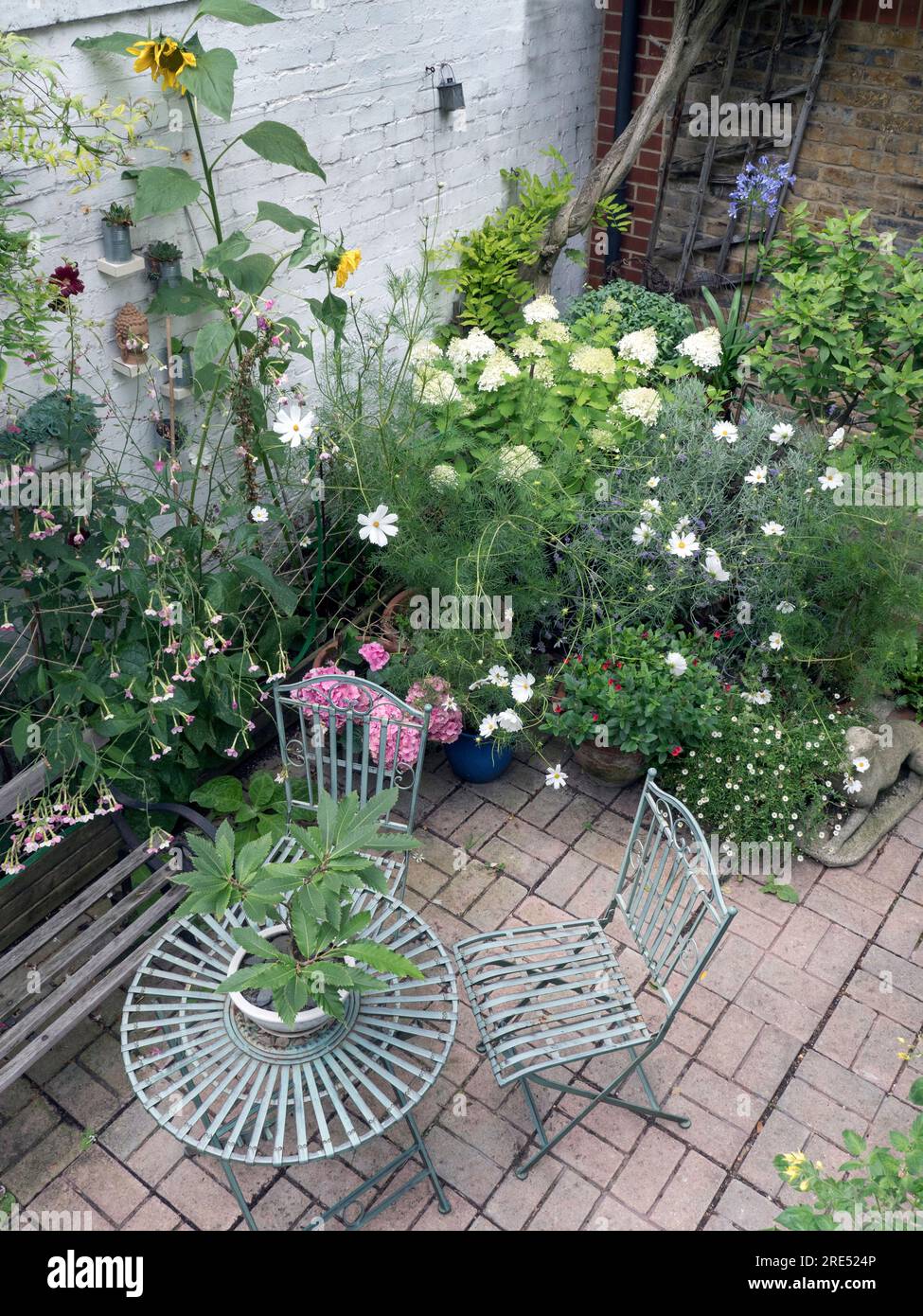 Courtyard garden hi-res stock photography and images - Alamy