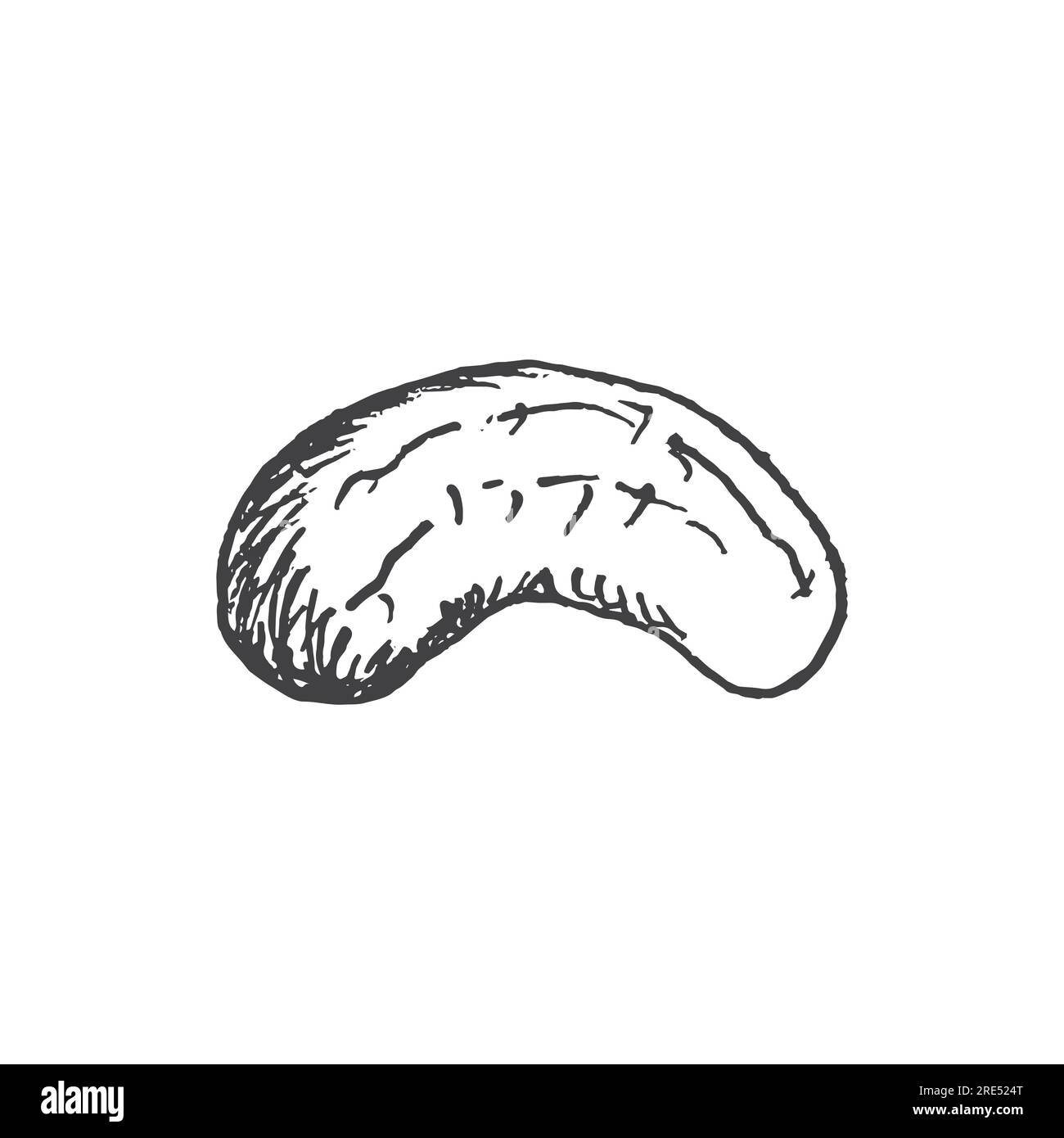 Nut Clip Art Black And White