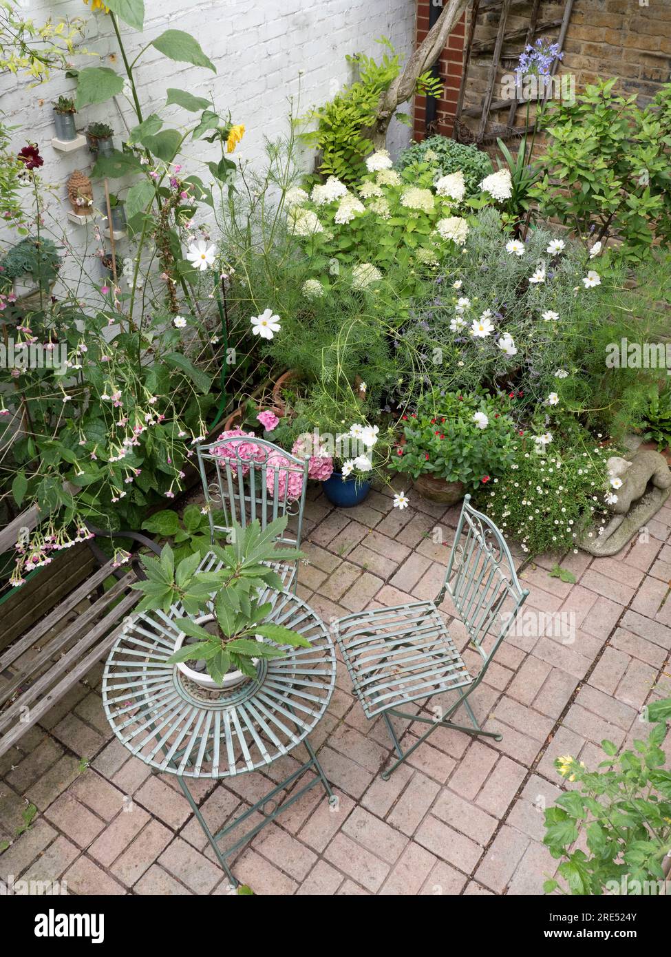 Courtyard garden hi-res stock photography and images - Alamy