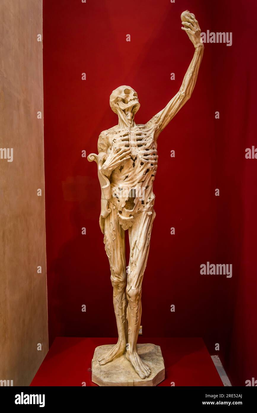 Medieval skeleton sculpture holding his heart, The Cité de l ...