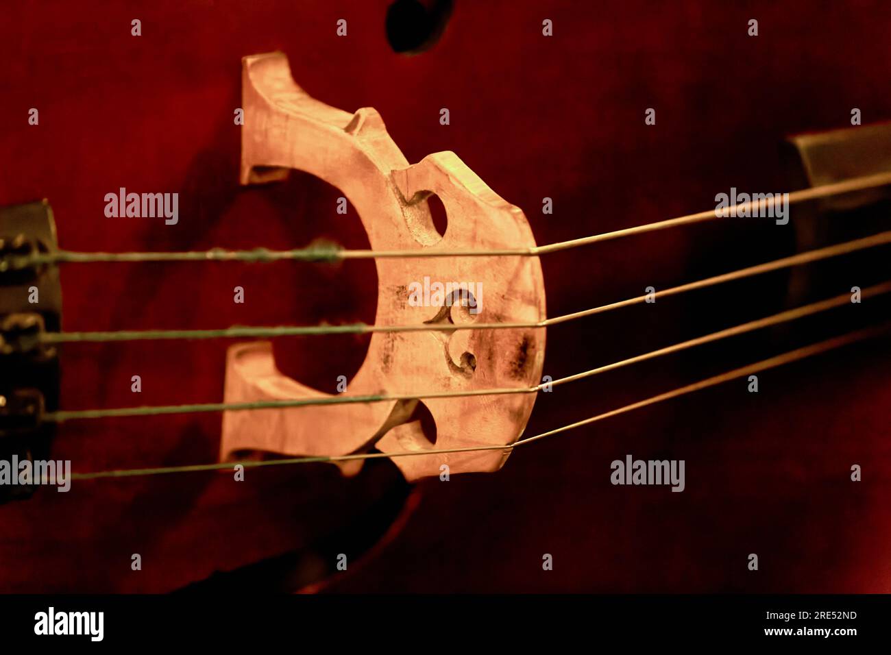 Image of a big filly for double bass strings Stock Photo - Alamy