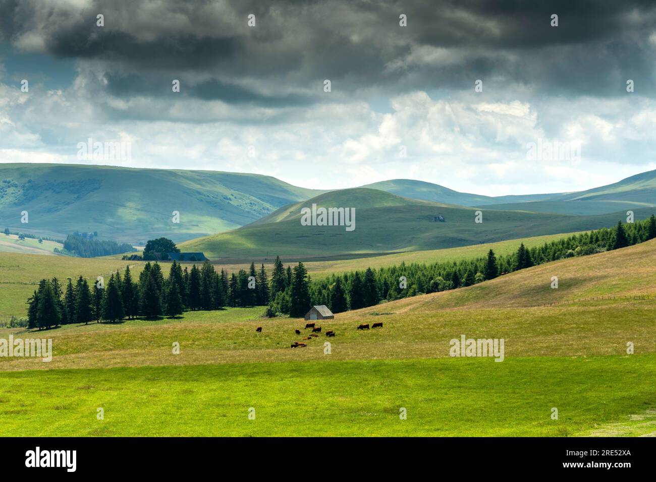 Farm (buron) in Cezallier massif, Regional Nature Park of Volcans d ...