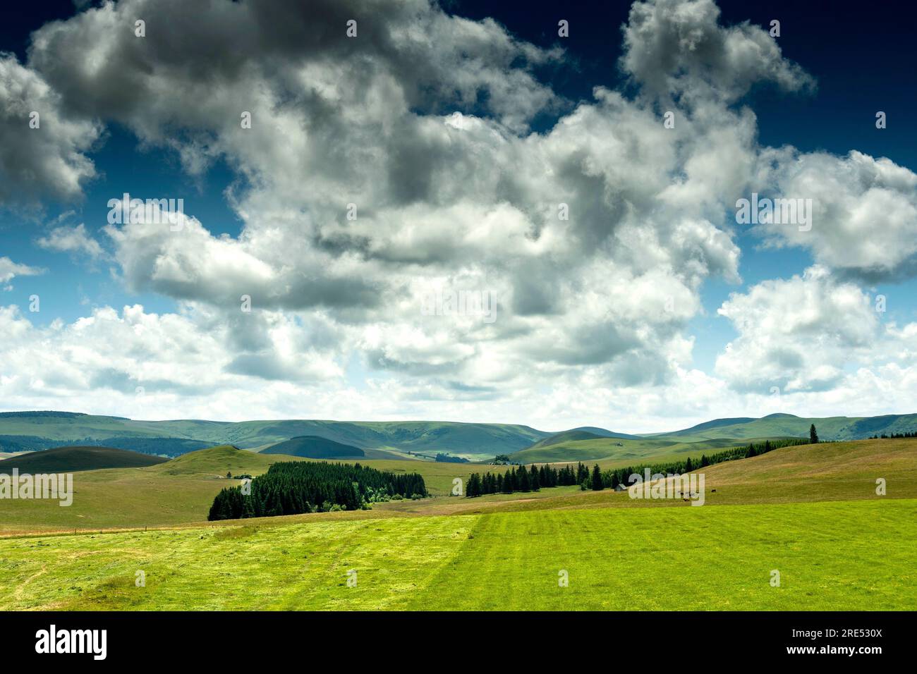 Plateau of Cezallier. Auvergne volcanoes regional natural park, Puy de ...