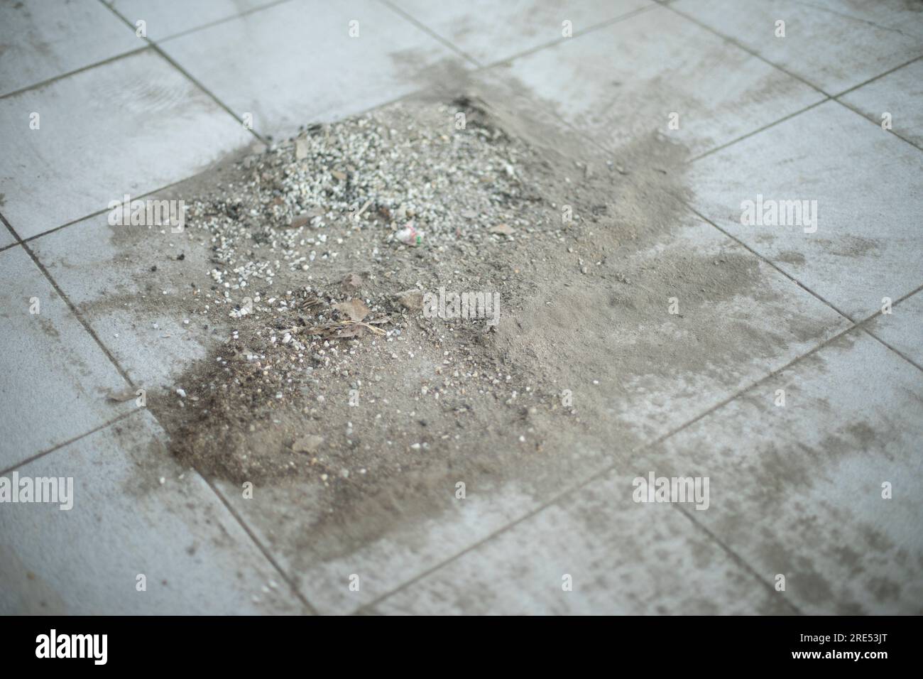 Dust on tiles. Sand cleaning. Swept away garbage. Floor cleaning Stock ...