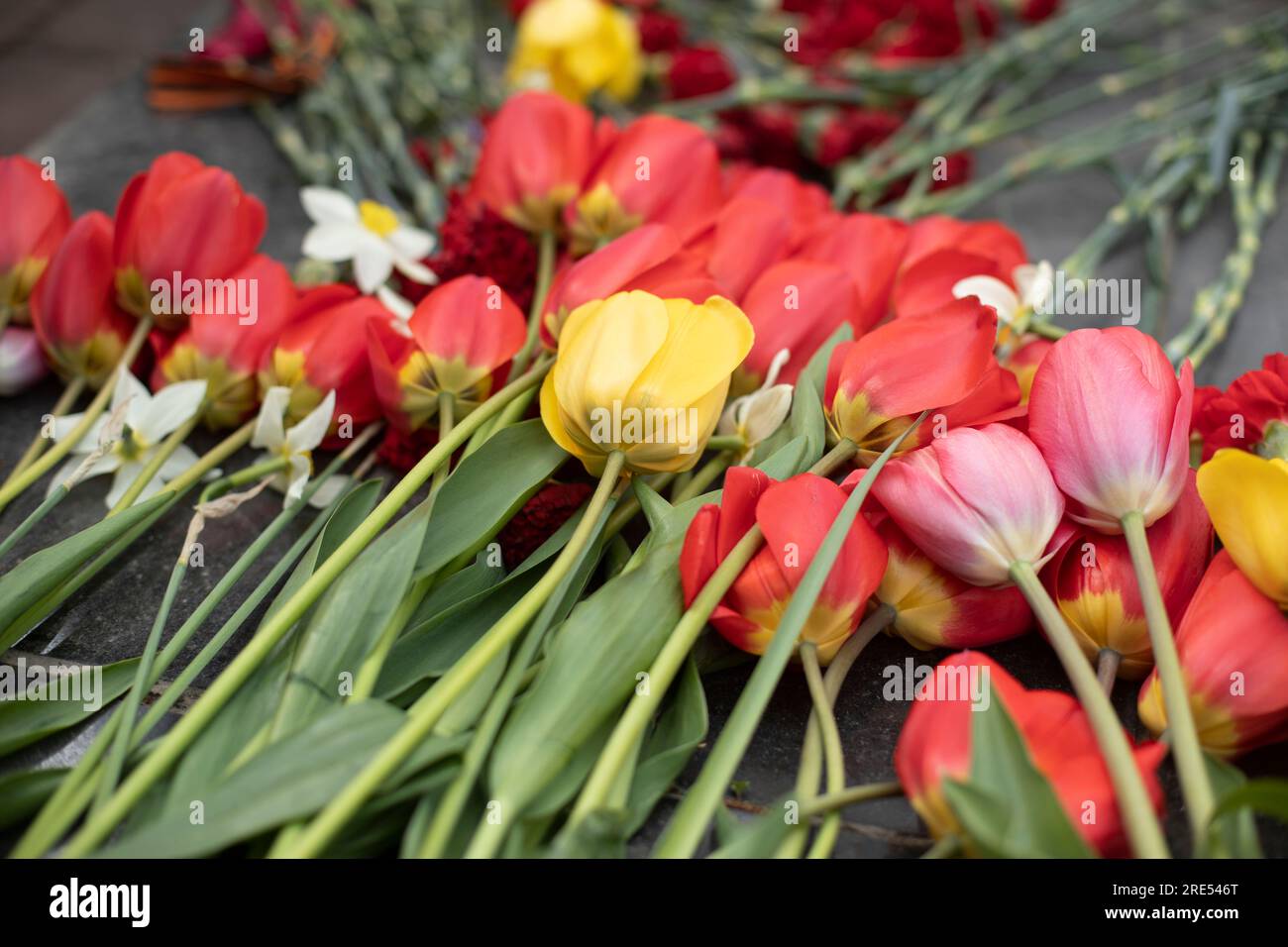 Flowers on war monument. Flowers on grave of soldier. Remembrance ...