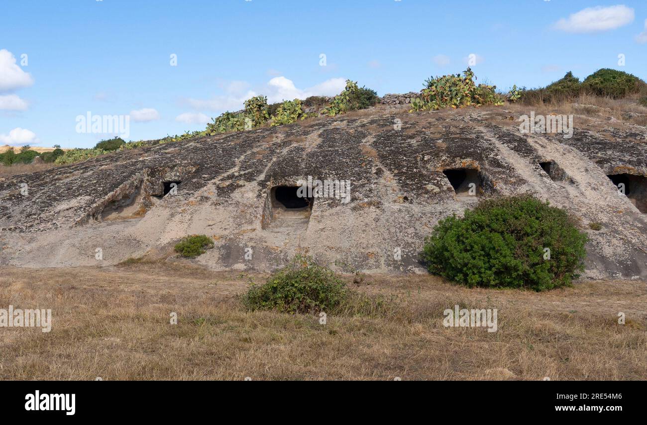 domus de janas are prehistoric tombs dug into the rock typical of pre ...