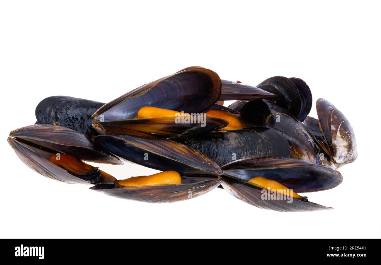 mussels isolated on white background Stock Photo - Alamy