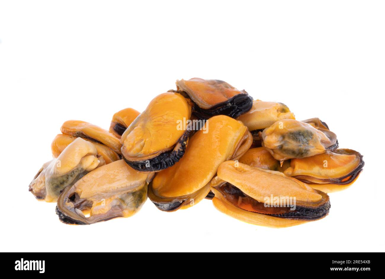 mussels isolated on white background Stock Photo - Alamy