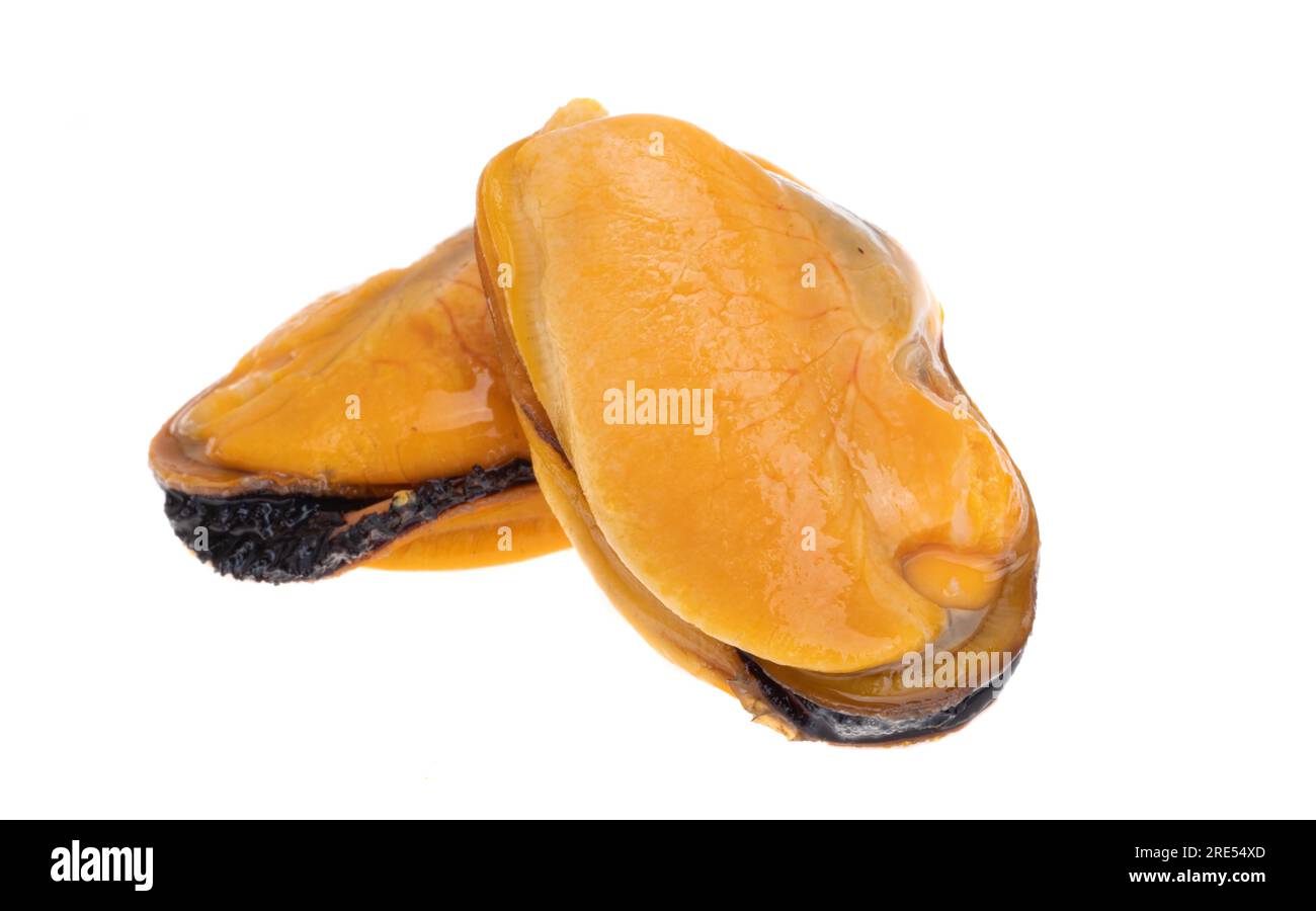 mussels isolated on white background Stock Photo - Alamy