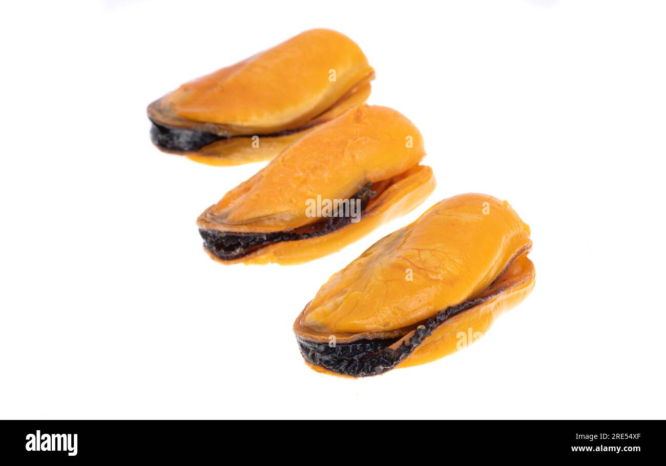 mussels isolated on white background Stock Photo - Alamy