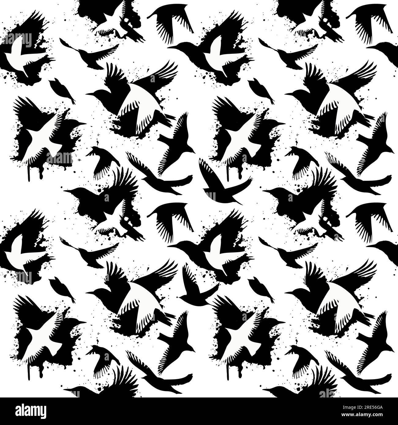 European starling drawing Cut Out Stock Images & Pictures - Alamy