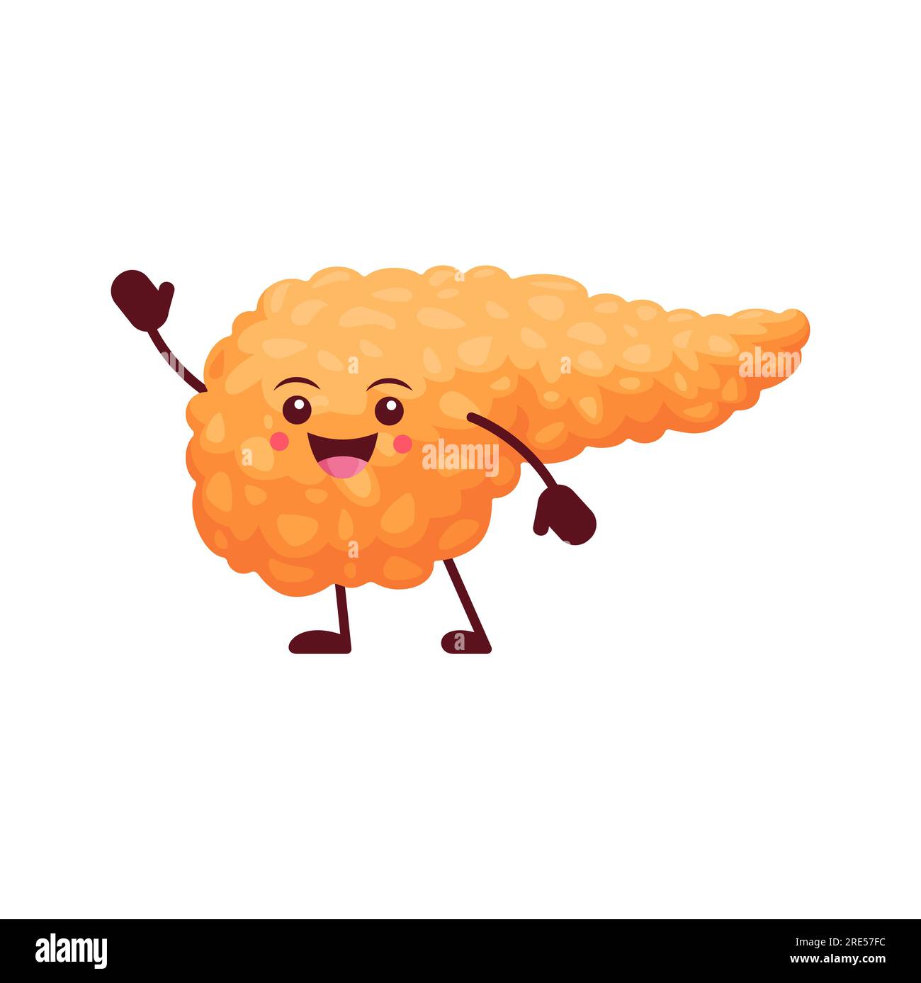 Cartoon Pancreas Human Body Organ Character Vector Part Of Digestive And Endocrine Systems