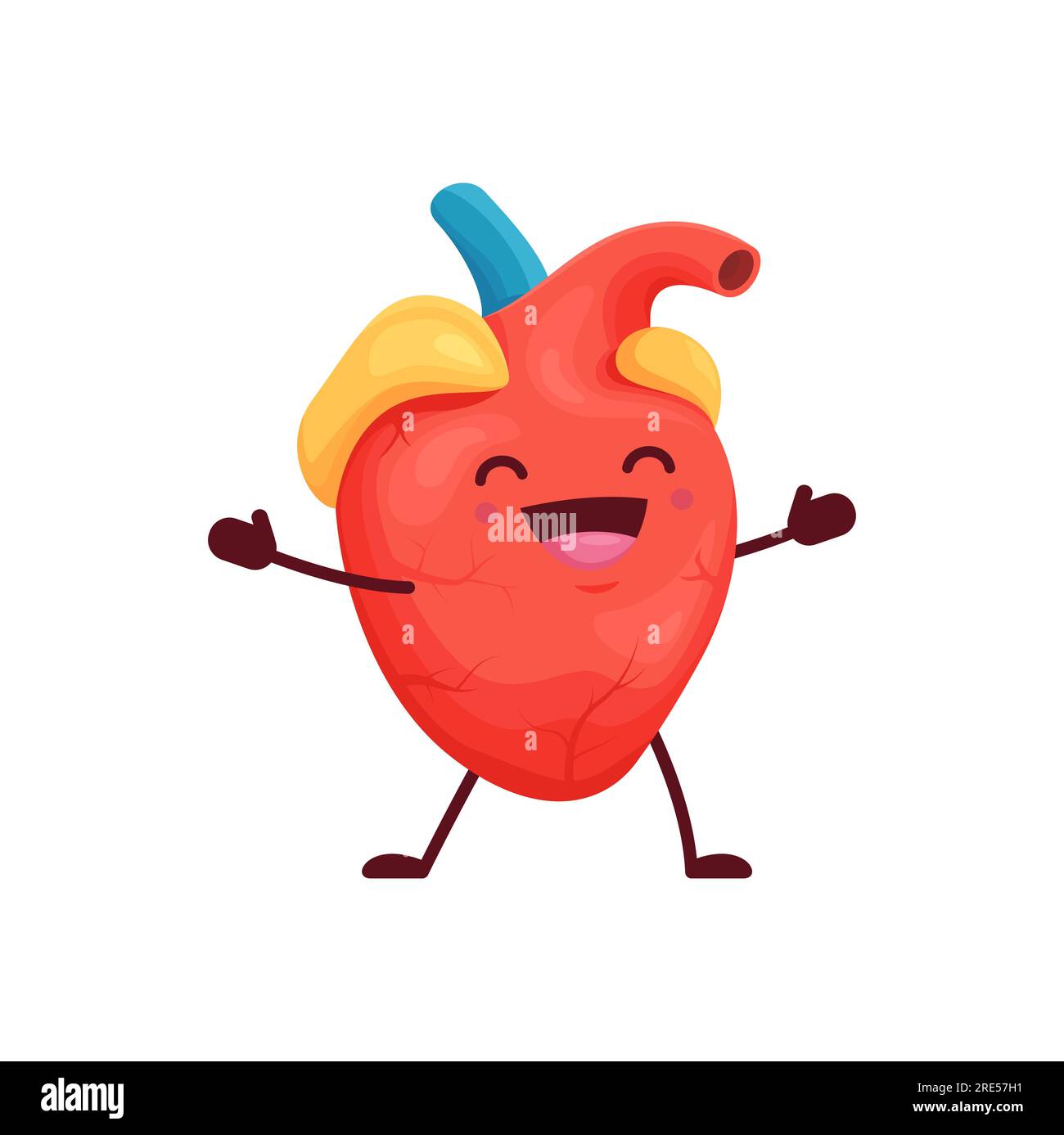 Cartoon human heart body organ kawaii character. Vector happy and healthy anatomical ...