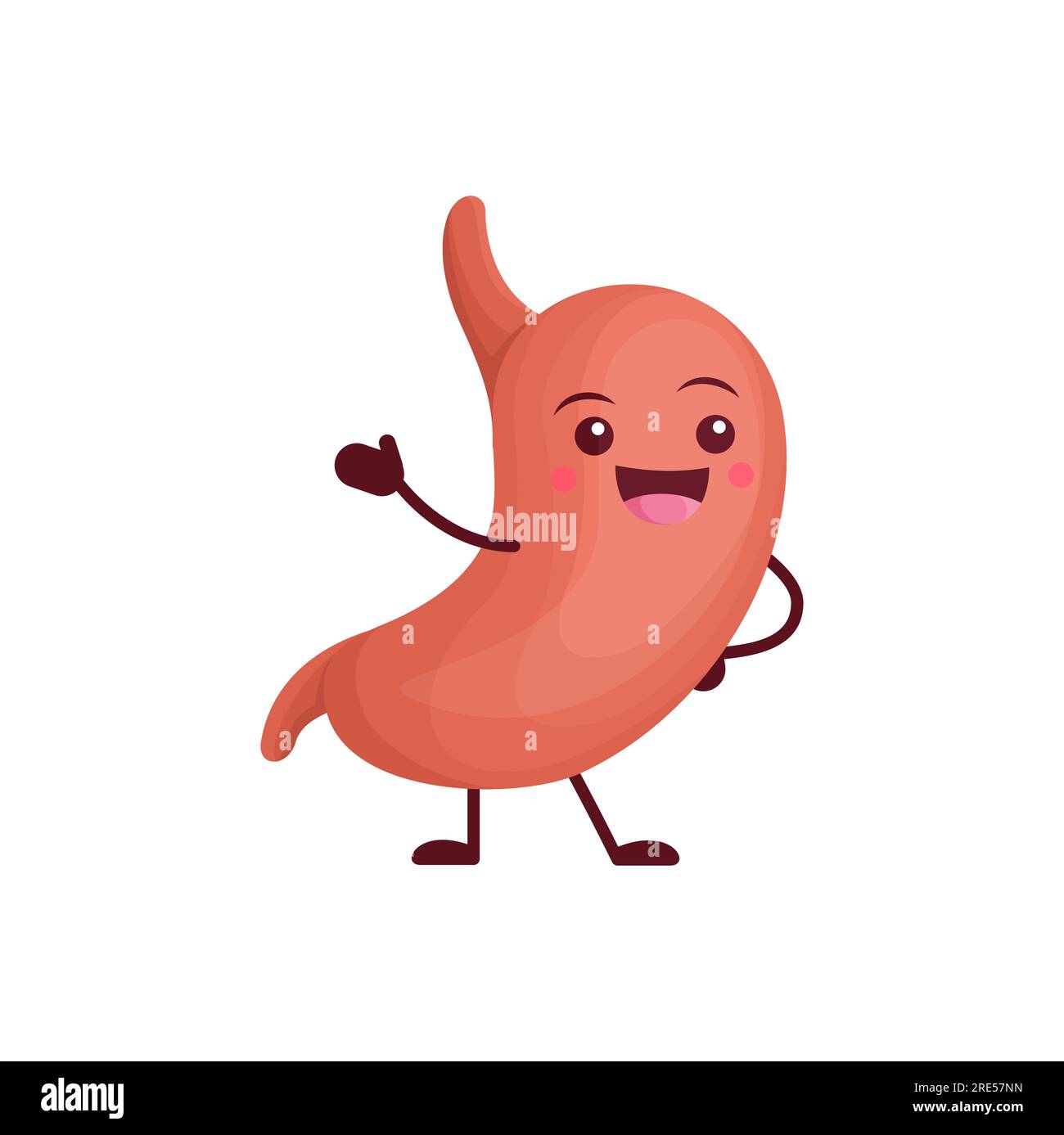 Cartoon stomach human body organ character. Vector healthy digestive ...
