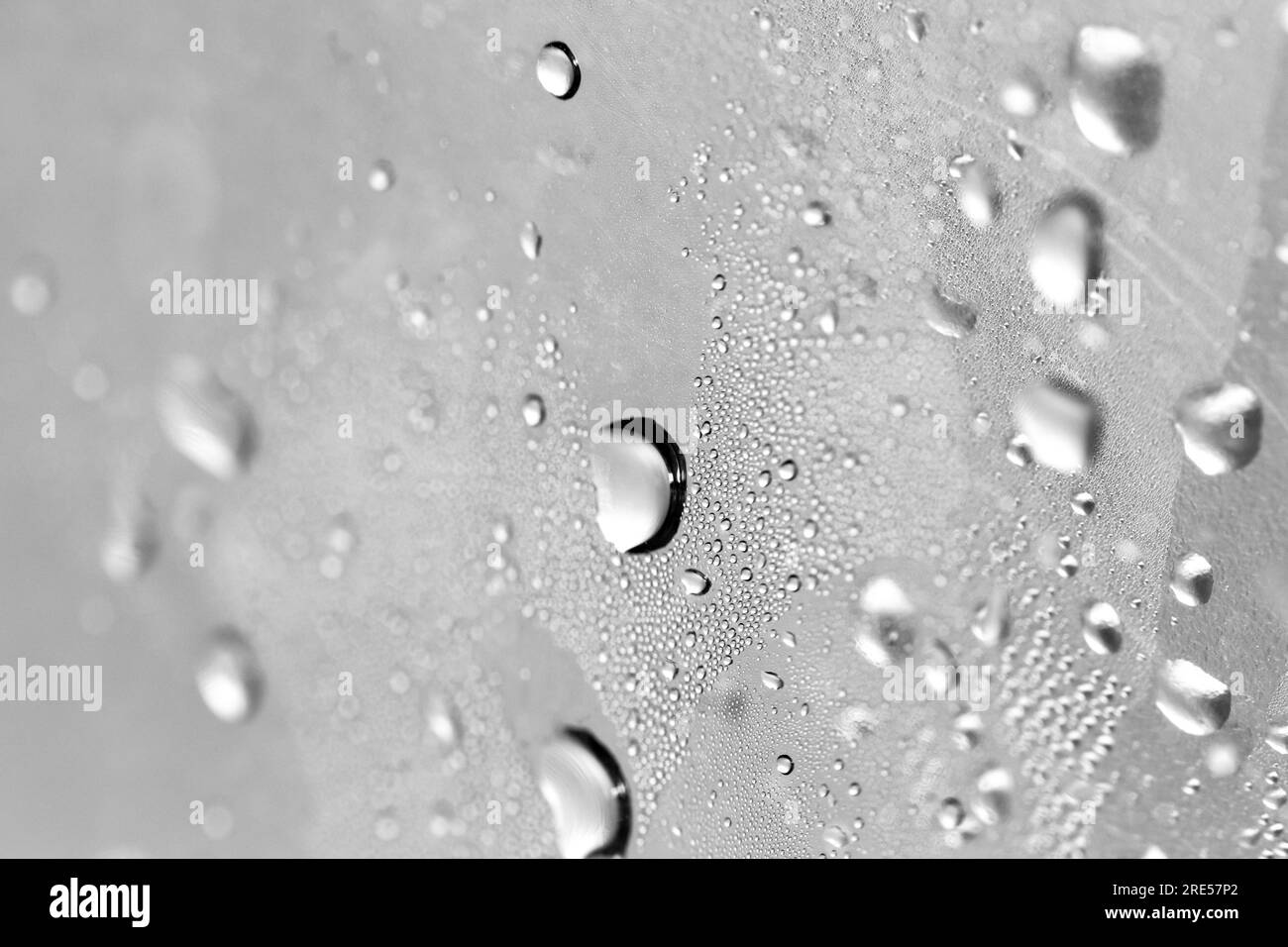 drops of water on transparent glass. wet on glass Stock Photo - Alamy