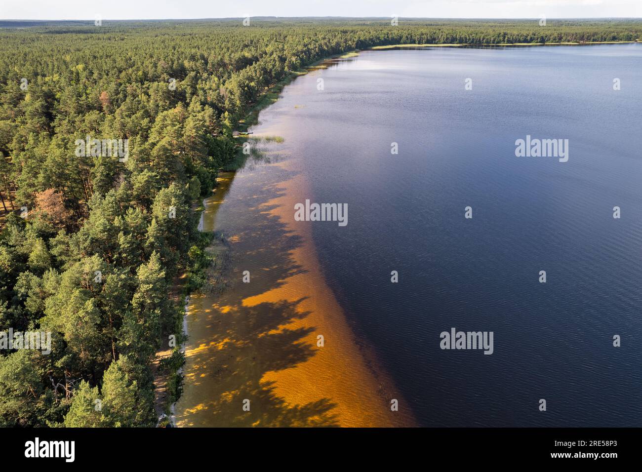 Aerial drone top view over White Lake in Rivne region, Ukraine Stock ...