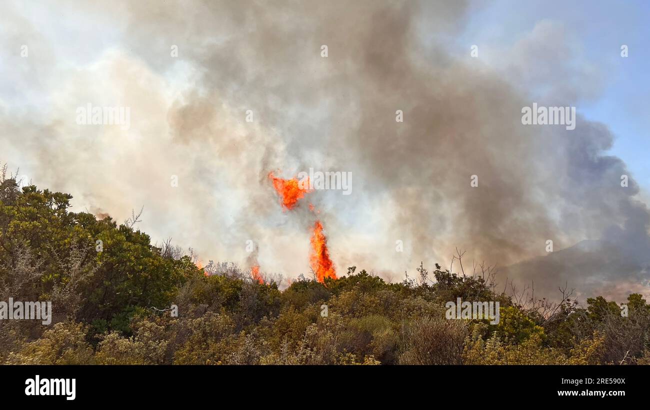 Fire burns vegetation in the central part of the Greek island of Rhodes ...