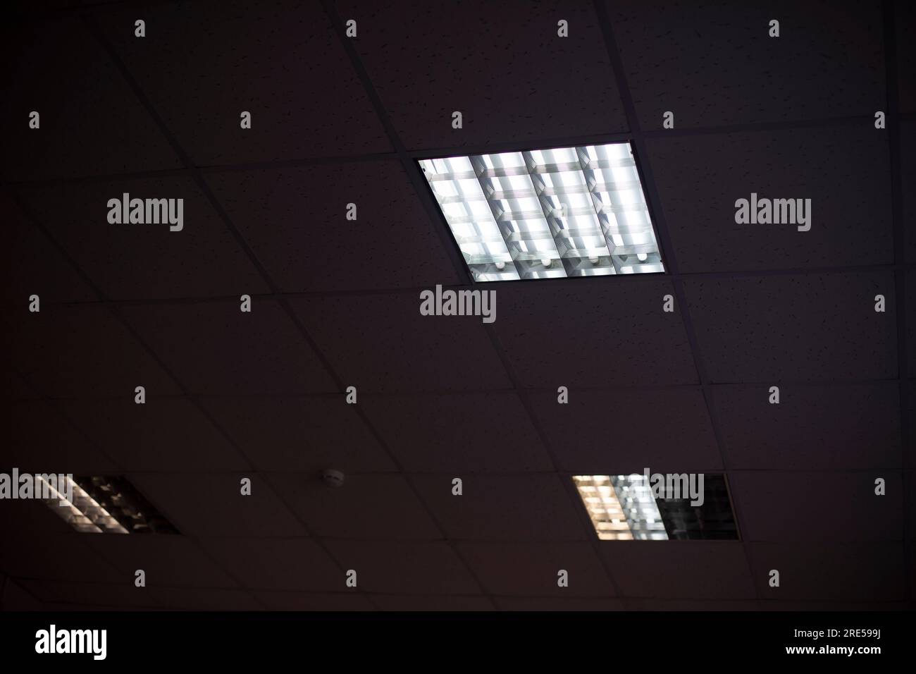 Lamp on ceiling. Interior details. Ceiling in office. Fluorescent lamp ...