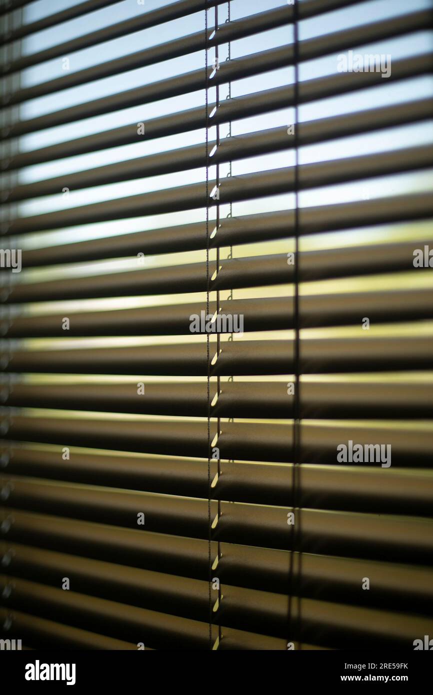 Blinds on window. Interior details. Blind background. Ribbed surface ...