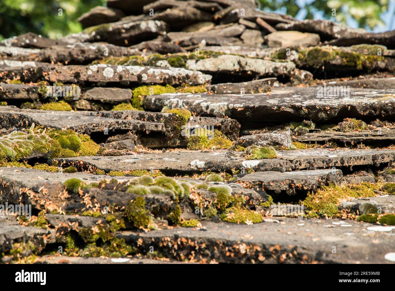 Mossy stone slab roof of derelict country house Stock Photo - Alamy