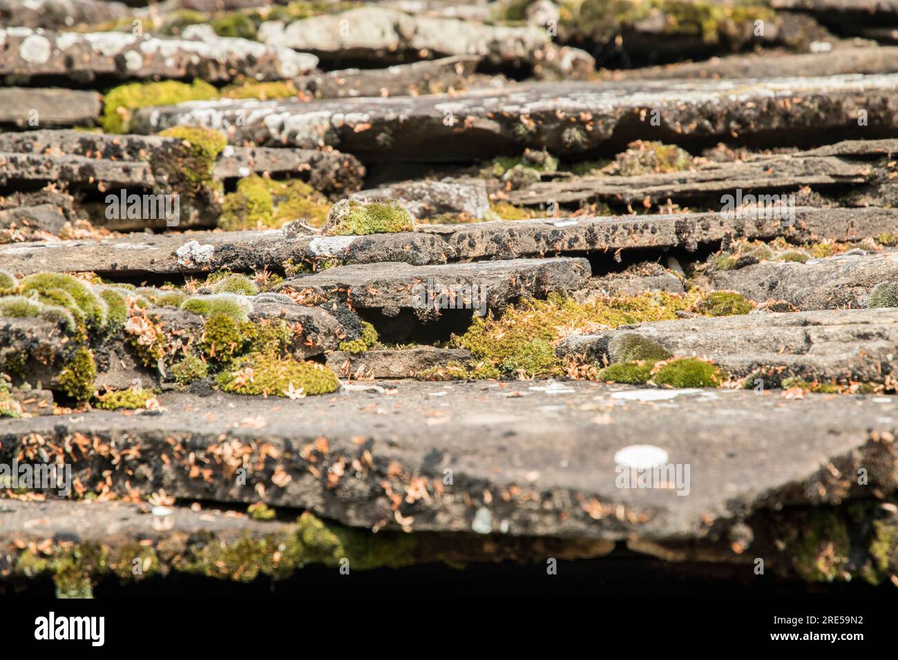 Mossy stone slab roof of derelict country house Stock Photo - Alamy