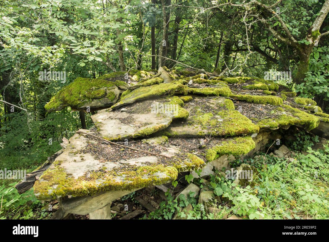 Mossy stone slab roof of derelict country house Stock Photo - Alamy