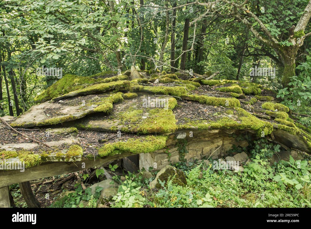 Mossy stone slab roof of derelict country house Stock Photo - Alamy