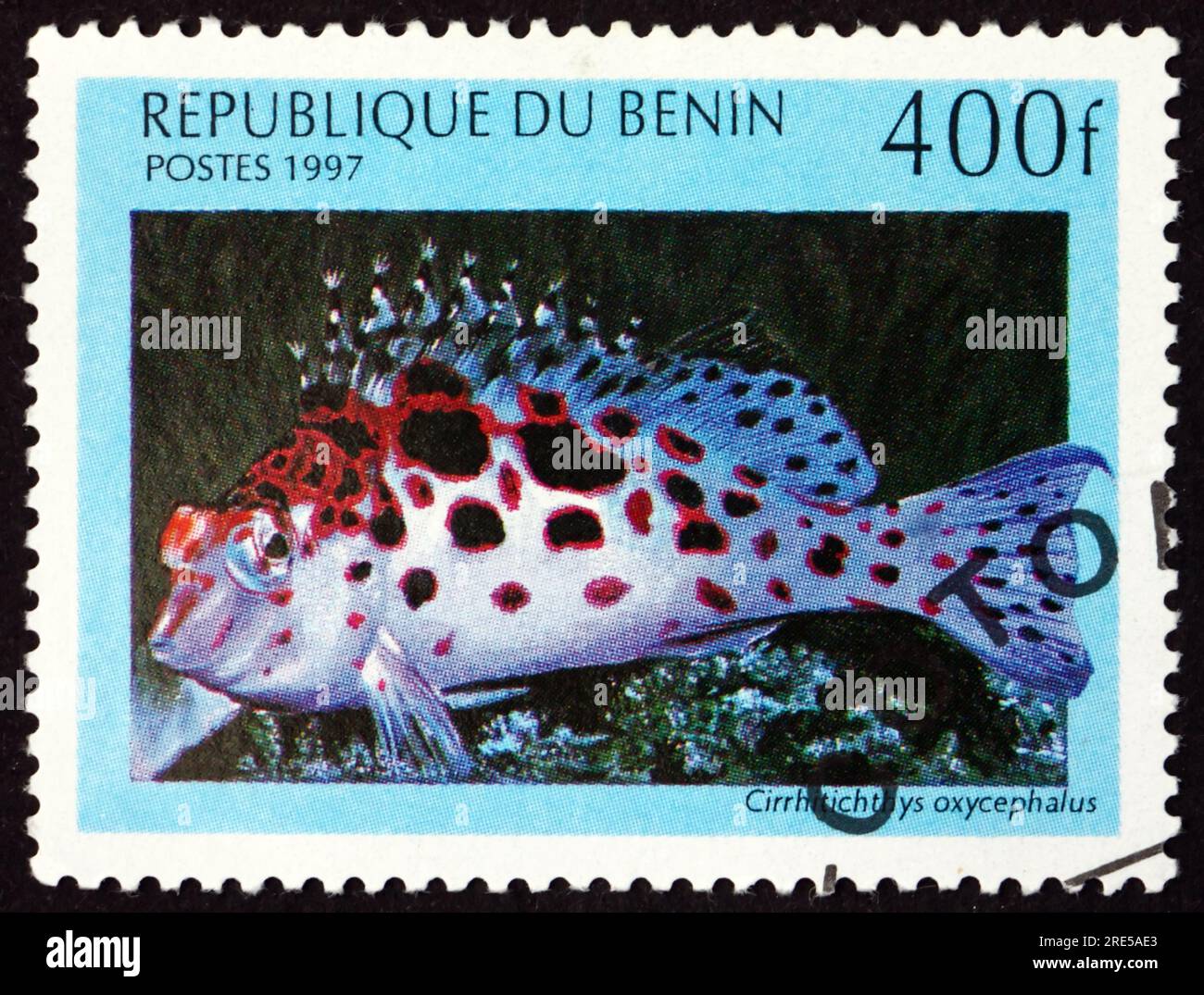 BENIN - CIRCA 1997: a stamp printed in Benin, Dahomey shows coral ...