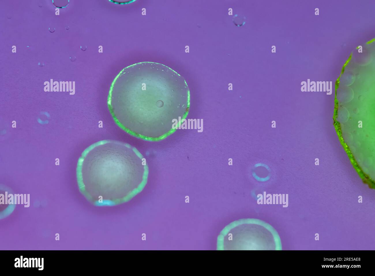 abstract chemistry background bubbles. Fluorescent liquid bubbles on ...