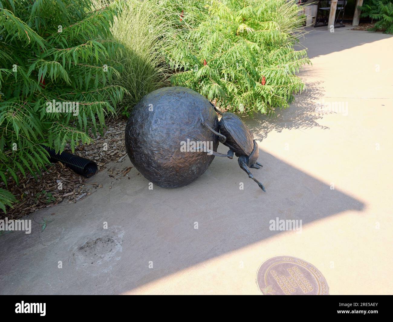 Topeka, Kansas - July 22, 2023: Dung Beetle Statue Stock Photo - Alamy