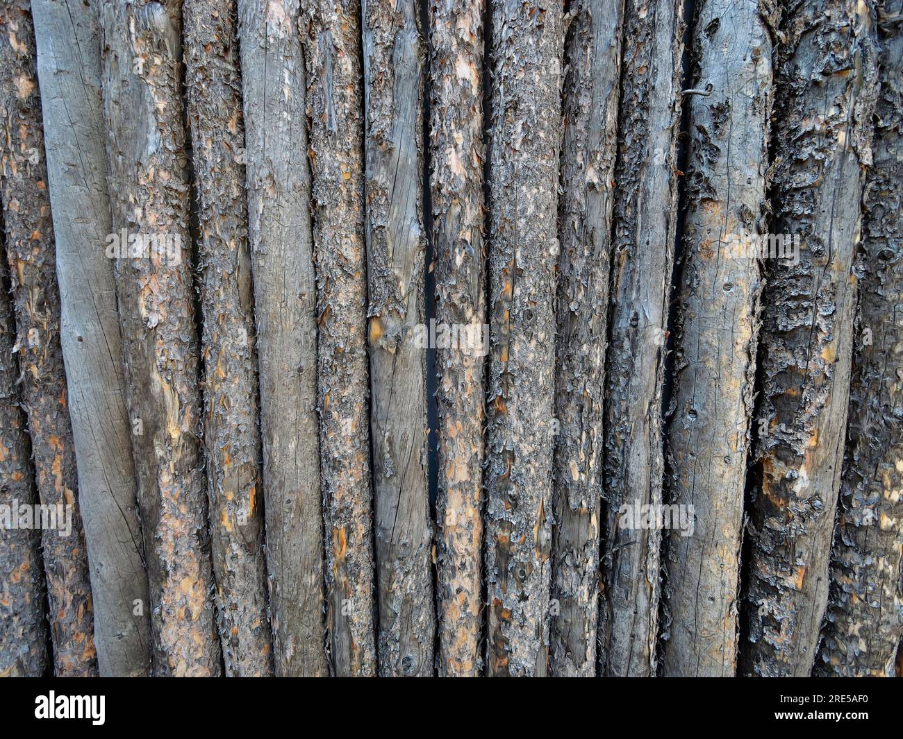 Natural Wooden Texture Wall Backdrop Design Stock Photo - Alamy
