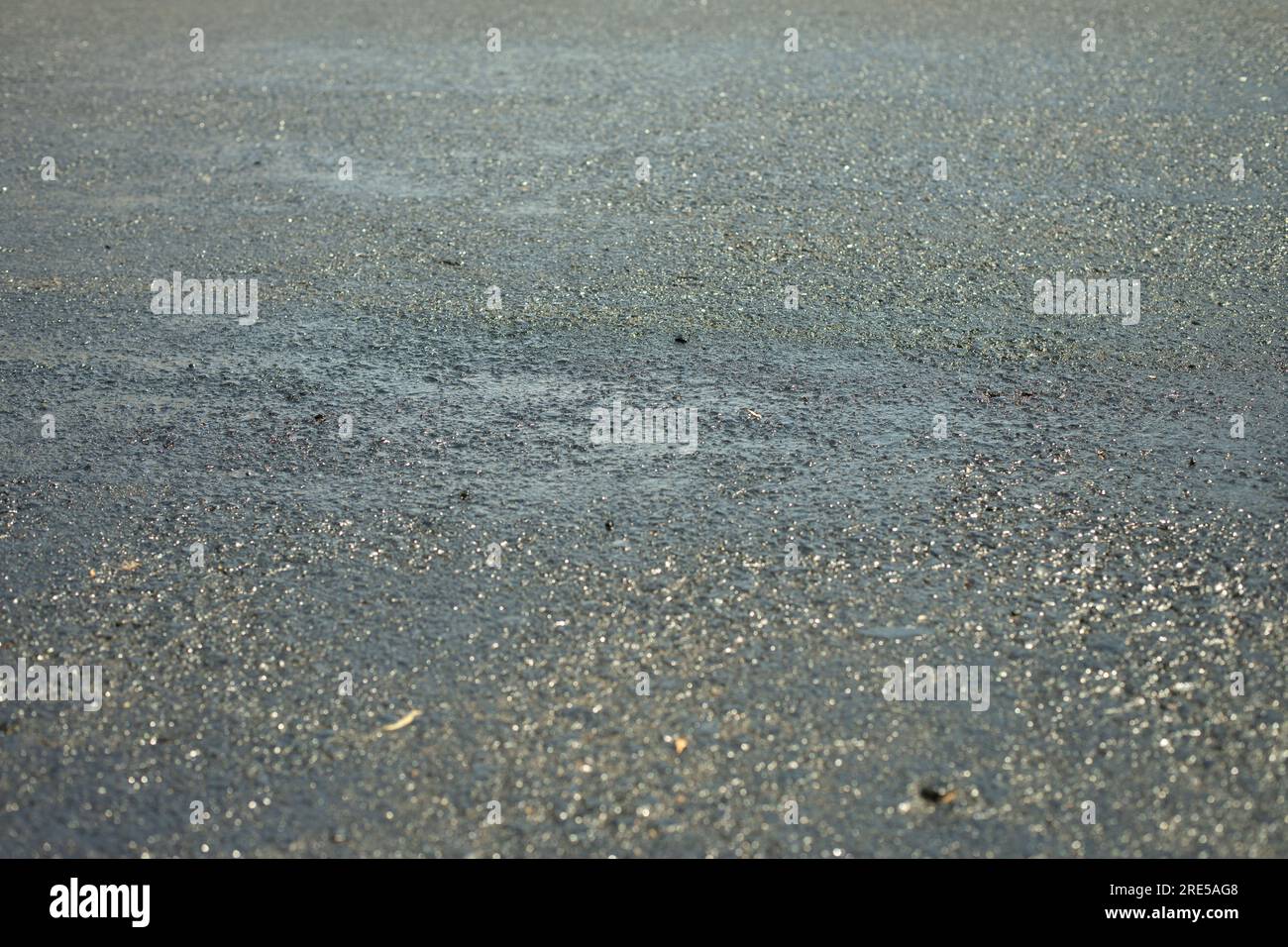New asphalt. Texture of road surface. Hot asphalt. Details of road ...