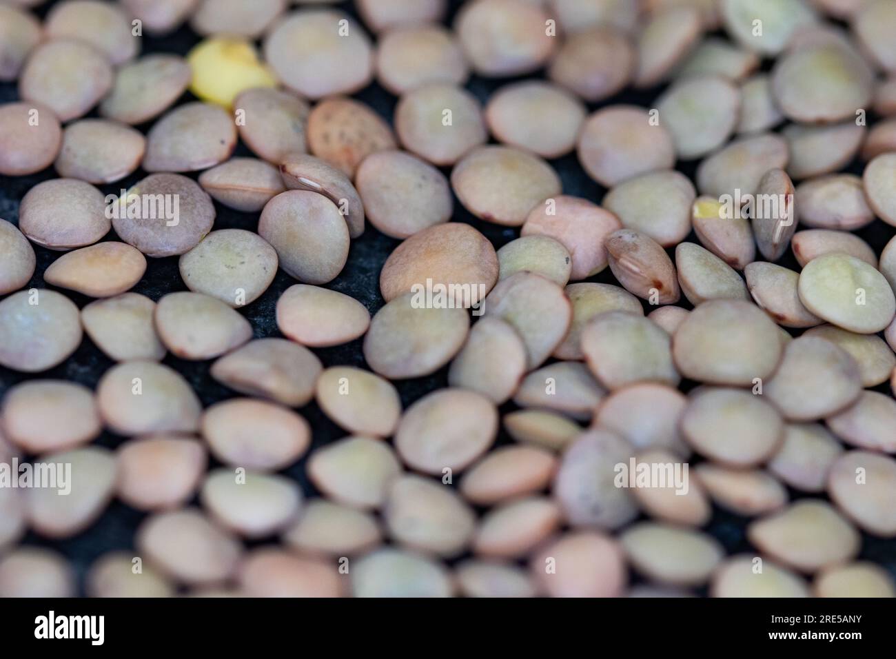 Macro of lentils. Traditional italian food lentis details Stock Photo ...