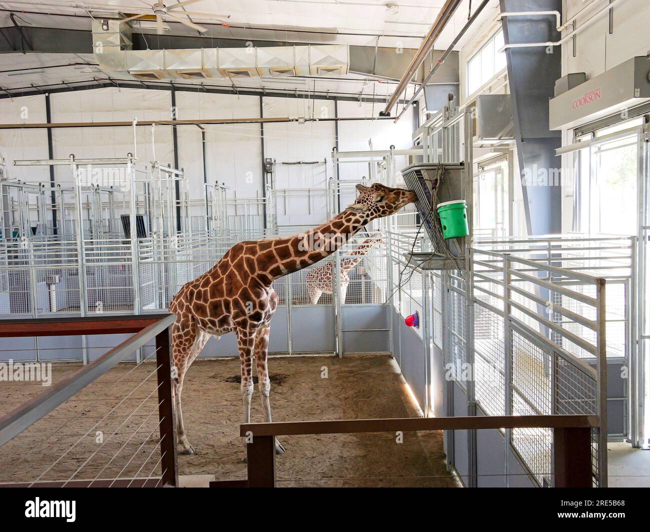 Topeka, Kansas - July 22, 2023: Giraffe & Friends Exhibit at the Topeka ...
