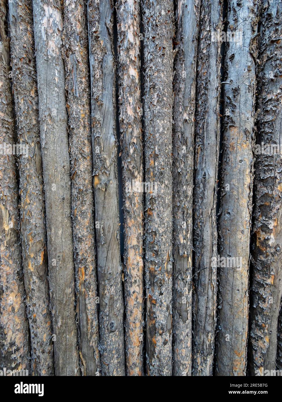 Natural Wooden Texture Wall Backdrop Design Stock Photo - Alamy
