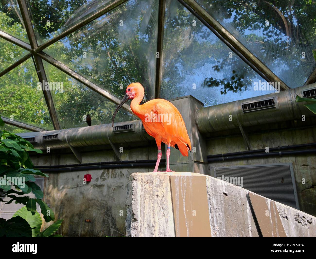 Topeka, Kansas - July 22, 2023: Tropical Building at the Topeka Zoo ...
