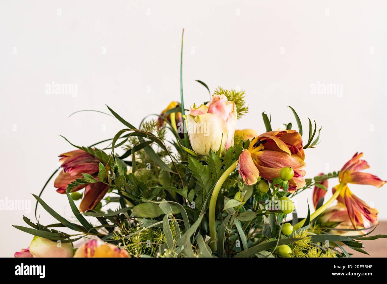 Concept decay hi-res stock photography and images - Alamy