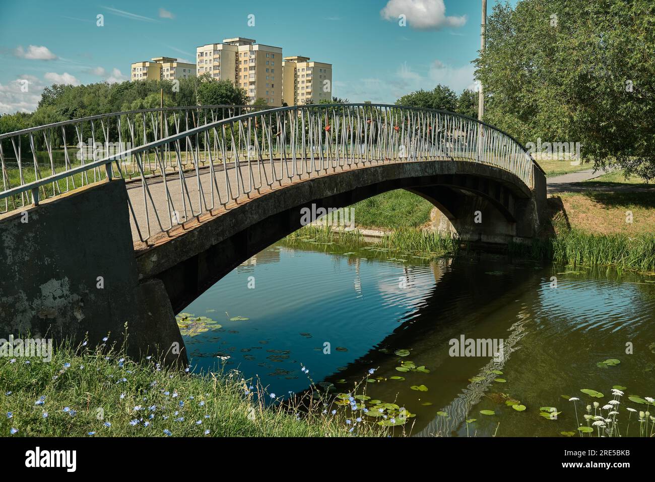 Bow bridge in Central park at spring sunny day Stock Photo - Alamy